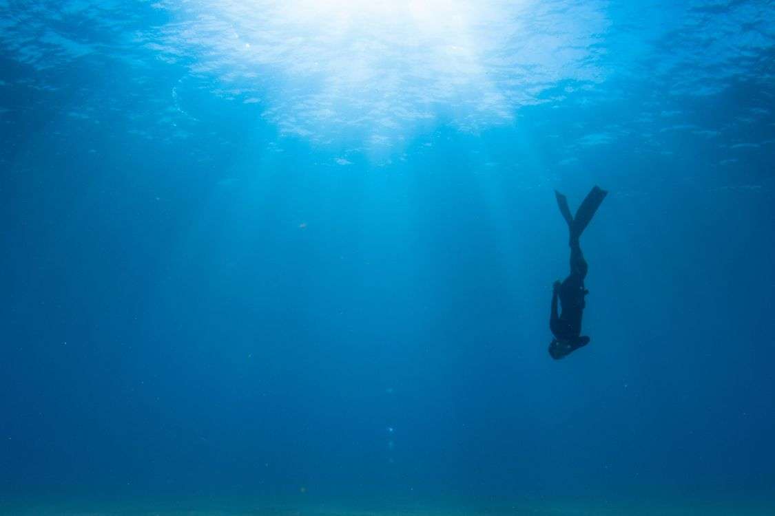 Exploring the Depths: A brief introduction to the various Freediving D ...